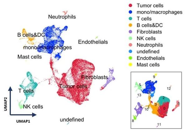 OncoWuXi速递 | 单细胞RNA测序平台助力肿瘤免疫新药研发 - 知乎