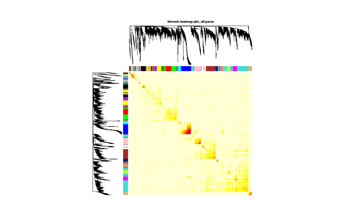 WGCNA分析流程详解 - 知乎