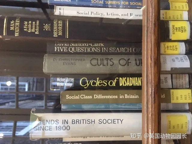 带你打卡KCL校园里的网红图书馆，超级适合通宵学习！ - 知乎