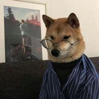 基于PyTorch的MLP模型的MNIST手写数字识别CIFAR10方案代码 - 知乎