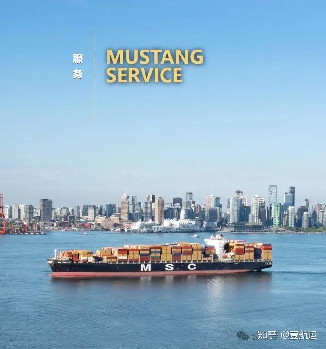 刚刚，MSC宣布增开三条新航线！| 壹航运 - 知乎