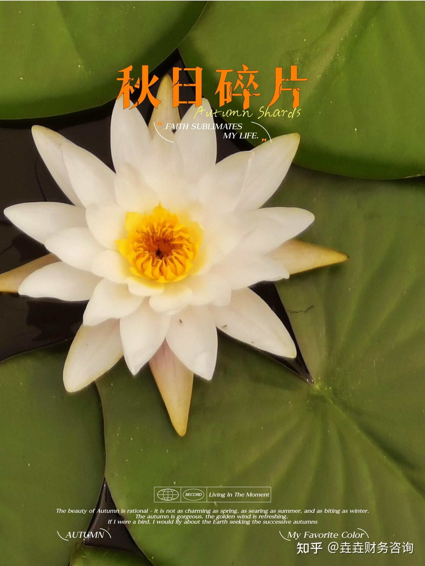 财务和业务到底是什么关系？ - 知乎