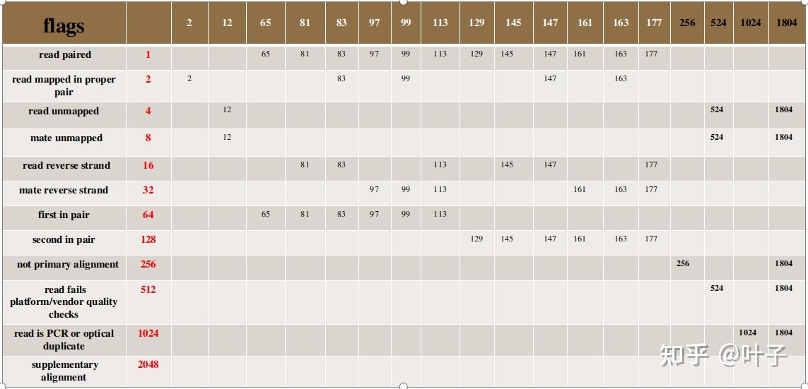 BAM文件中FLAG值-学习笔记 - 知乎