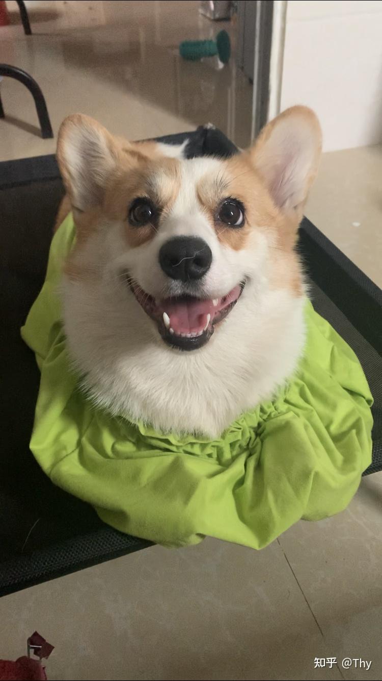 家🐔成长过程，渐渐油腻！！ - 知乎