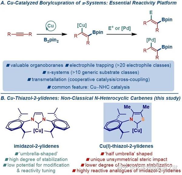 陕西科技大学与罗格斯大学合作ACS Catalysis：噻唑-2-亚基氮杂环卡宾铜配合物的配体设计、合成应用及机理研究 - 知乎
