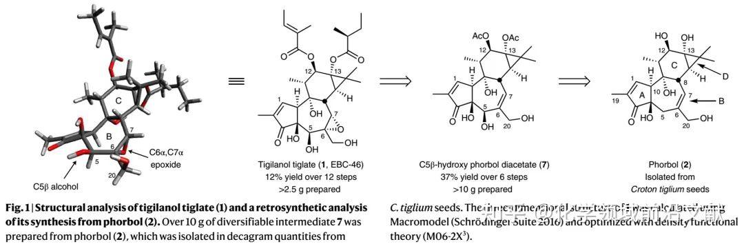 Wender组Nat. Chem.：抗癌药EBC-46及其类似物的克级规模半合成 - 知乎
