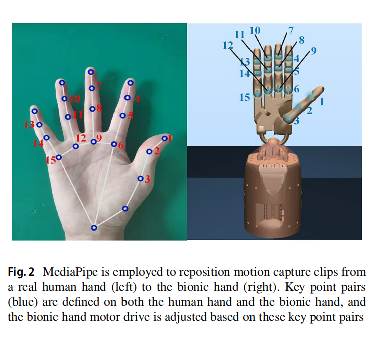 文献阅读：Bionic Hand Motion Control Method Based on Imitation of Human Hand Movements and RL - 知乎