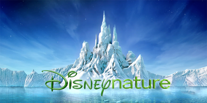 【Disneynature】精选9部《迪士尼自然》专门拍给孩子的纪录片！去除暴力内容，讲讲动物家里那些事儿 - 知乎