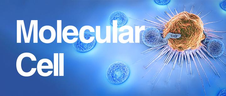 Mol Cell丨揭示琥珀酰化介导的肿瘤细胞氧化应激调控新机制 - 知乎