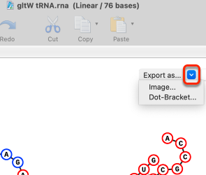 SnapGene V6.1 全新功能 — RNA二级结构 - 知乎