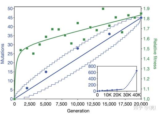Richard Lenski与30年长期进化实验(LTEE) - 知乎