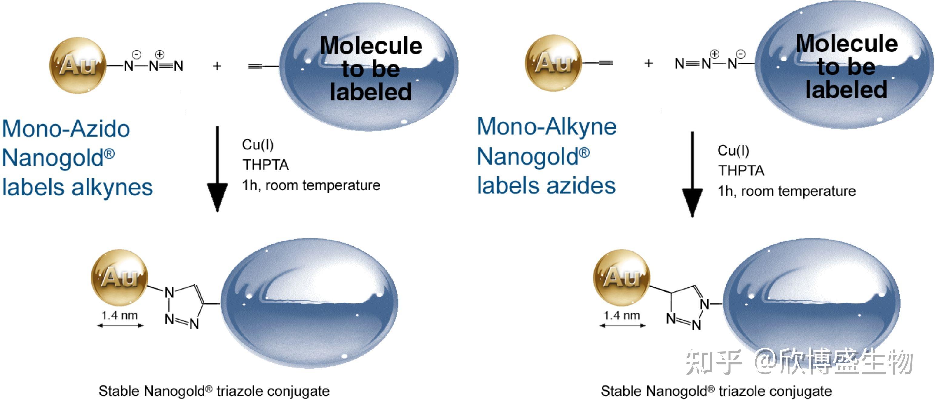 Nanoprobes—为科学研究提供纳米颗粒产品 - 知乎