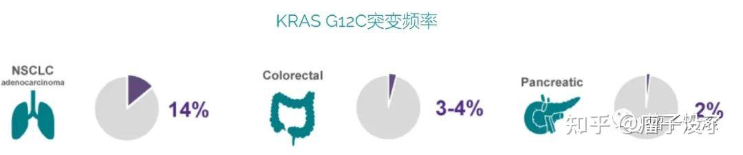 KRAS G12C抑制剂IBI351治疗肺癌、结直肠癌最新临床数据出炉！ - 知乎