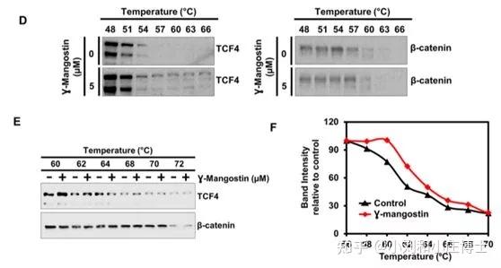 CETSA实验，助力药物靶点验证 - 知乎