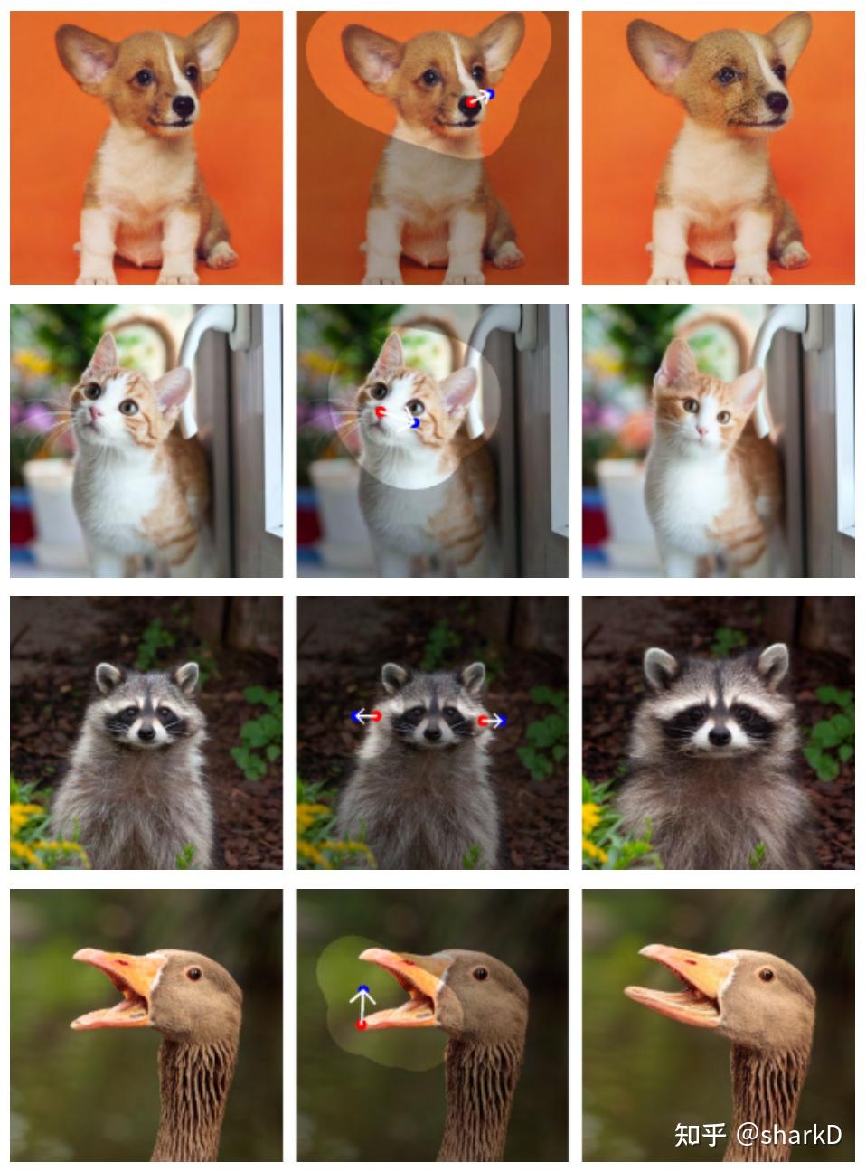 DragDiffusion论文详解 - 知乎