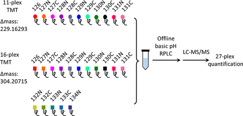 TMT标记蛋白组学| 27种复杂串联质量标记质谱技术用于阿尔茨海默病脑蛋白质组分析 - 知乎