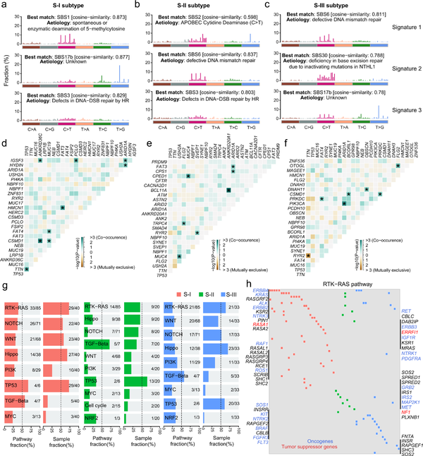 Nat Commun｜多组学揭示食管胃交界处腺癌(AEG)的三种蛋白质组学亚型及潜在的可药物化靶点 - 知乎