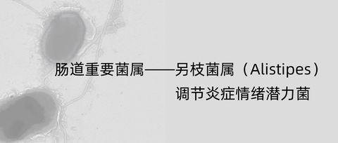 肠道核心菌属-粪球菌属（Coprococcus） - 知乎