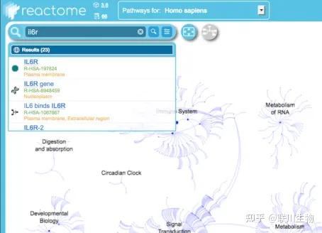 联川生物转录组特色数据库——Reactome数据库 - 知乎