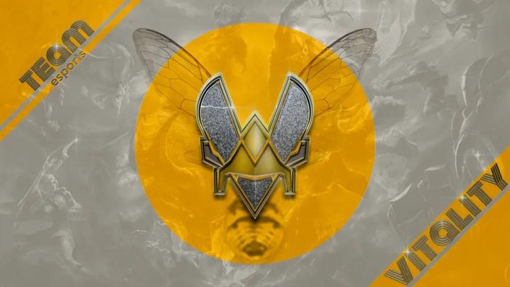 CSGO壁纸｜小蜜蜂Vitality - 知乎