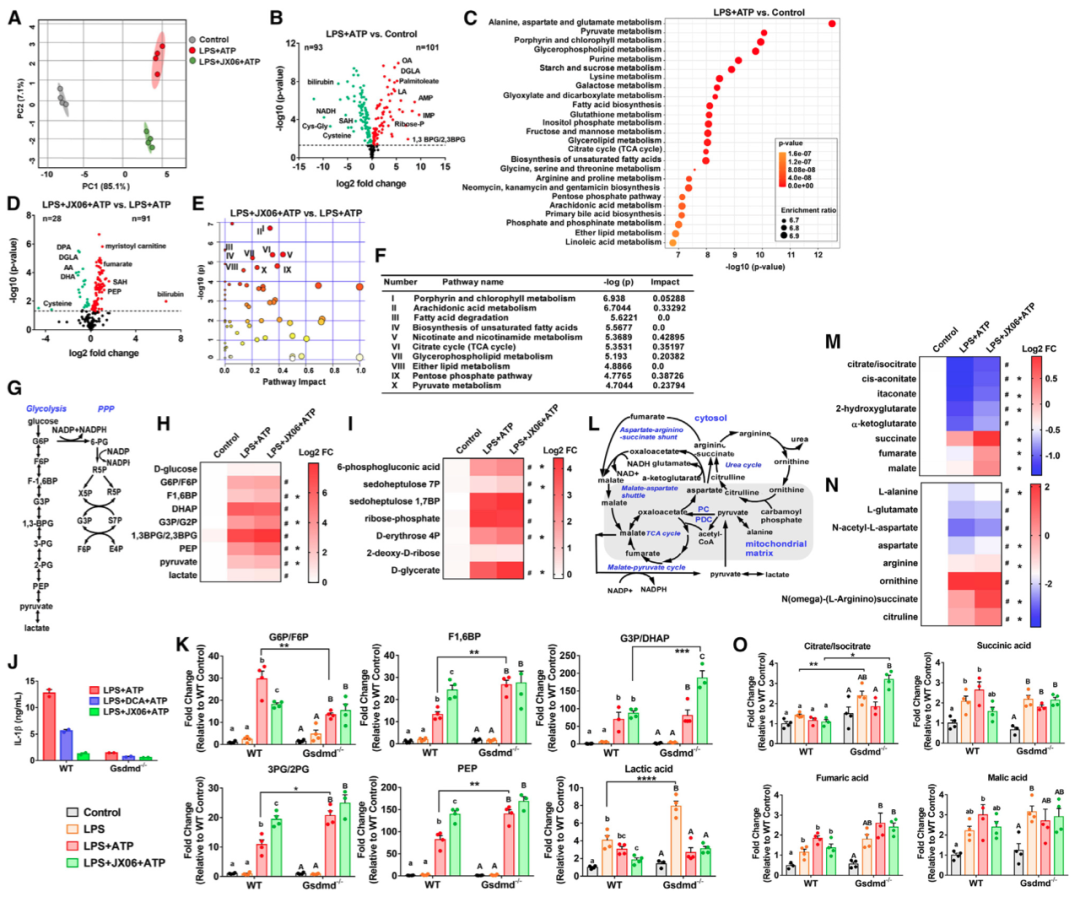 Cell Reports丨丙酮酸脱氢酶激酶在急性炎症期间支持巨噬细胞 NLRP3 炎性体激活 - 知乎