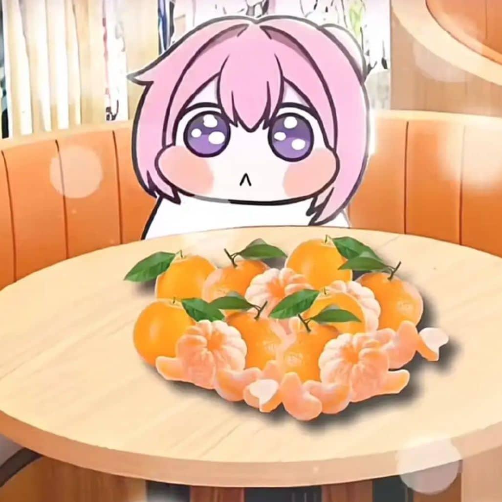 doro丨700张粉毛doro的表情包、头像、壁纸，超可爱 - 知乎