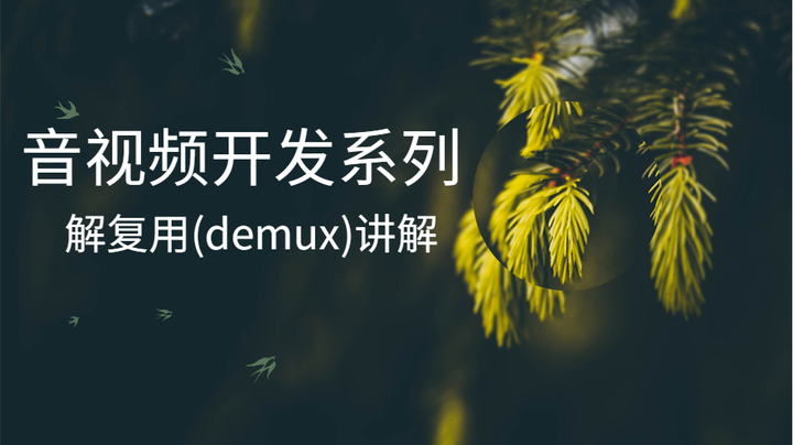 FFmpeg从入门到牛掰：解复用(demux)讲解 - 知乎
