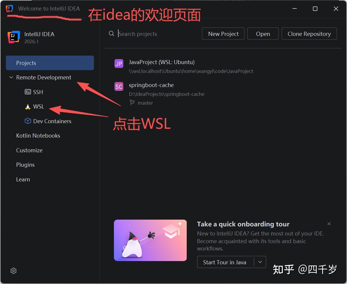 踩坑无数总结：IDEA+WSL 连接、配置、运行全攻略 - 知乎