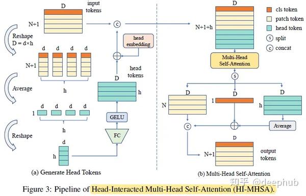 DHVT：在小数据集上降低VIT与卷积神经网络之间差距，解决从零开始训练的问题 - 知乎