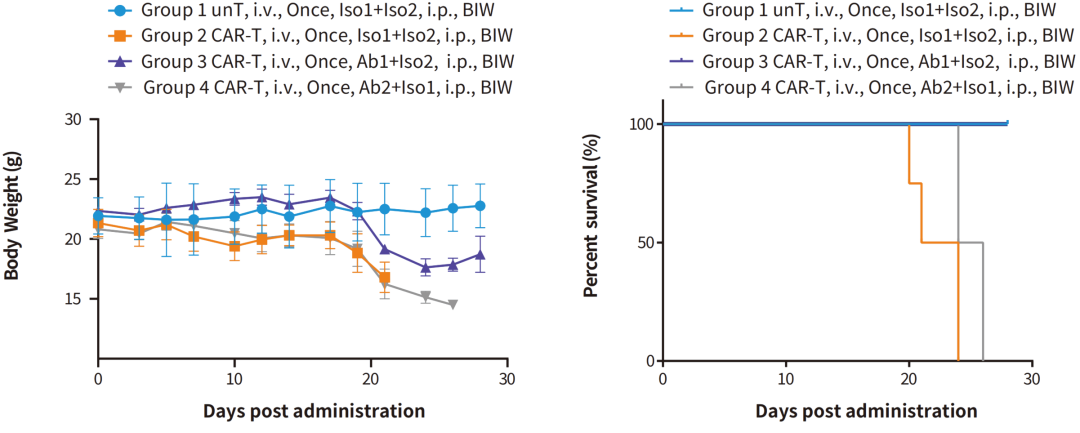 关于CDX模型，这些知识点你必须了解！ - 知乎