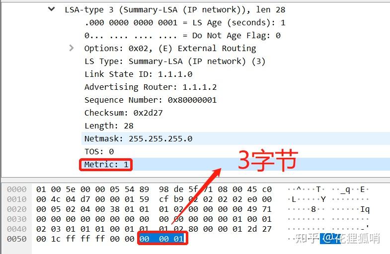 OSPF LSA报文格式总结 - 知乎