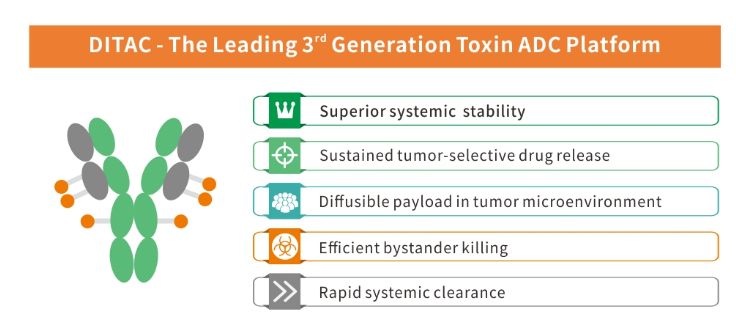 ADC中的"最强黑马"，映恩生物为何受追捧 - 知乎