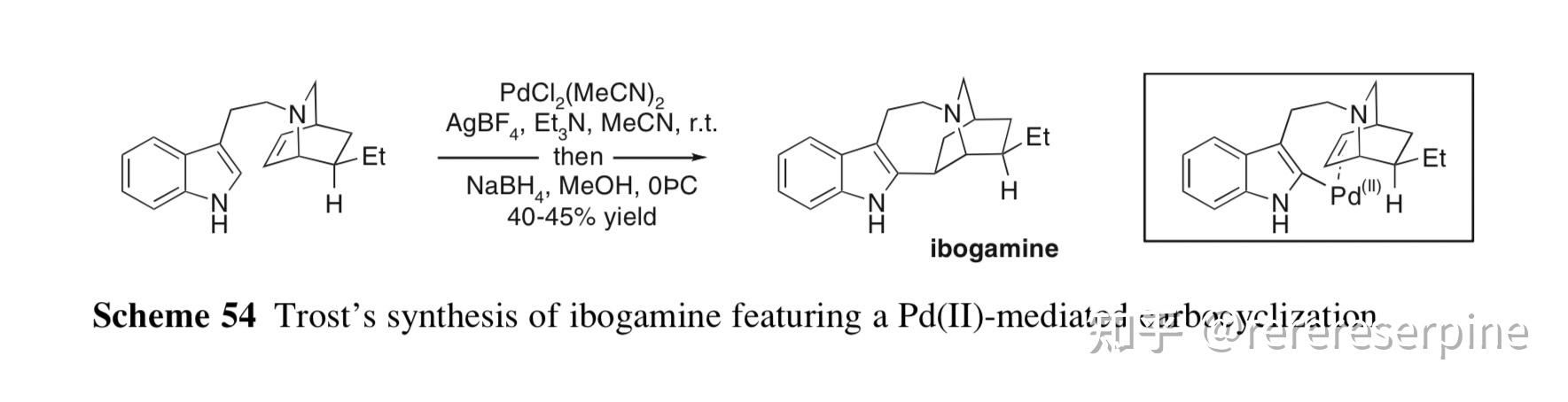 笔记《C-H activation》 Pd-Catalyzed C–H Bond Functionalization on the ...