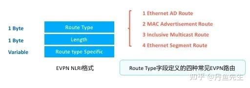 【干货】10分钟搞清楚什么是EVPN（内文超详细！） - 知乎