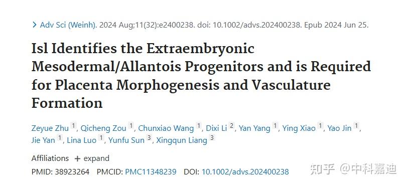 Isl1识别胚外中胚层/尿囊前体细胞，并在胎盘形态发生和血管形成中起着必要作用 - 知乎