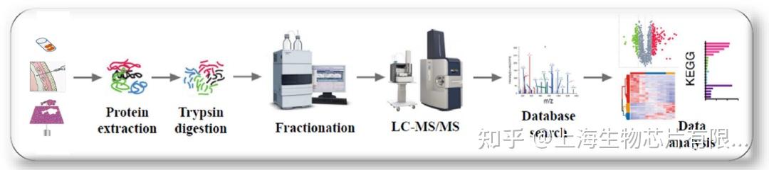 timsTOF Pro 质谱助力微量样本进行4D蛋白质组学研究 - 知乎
