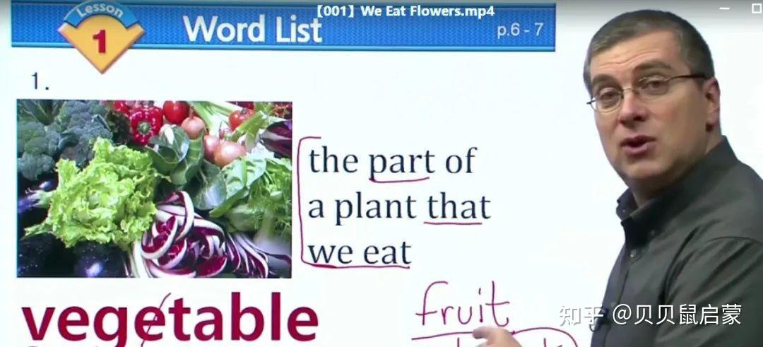 Brian Stuart 老师400多节视频课，含高频词、社会、科学 - 知乎