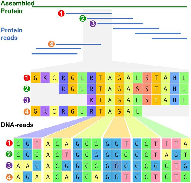 AlphaFold2所用序列库大超凡(BFD) - 知乎