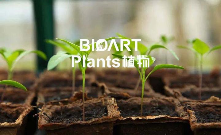 Dev Cell | 孙佳琦/郑环泉团队揭示ATG18相分离凝聚体介导内质网重构驱动植物自噬的新机制 - 知乎