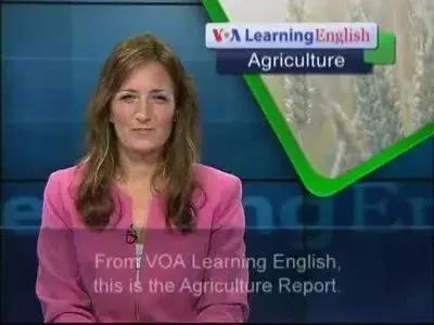 【福利】雅思托福听力神器BBC/VOA/CNN音频打包送！ - 知乎