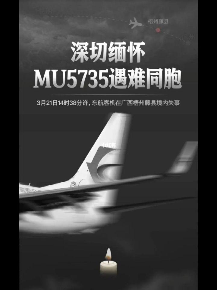一年前的今天，东航MU5735坠落，我们依然需要个答案 - 知乎