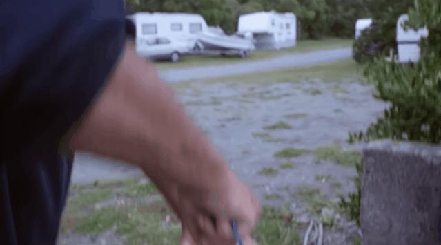 黑鲍鱼长啥样？好吃么？怎么吃？ - 知乎