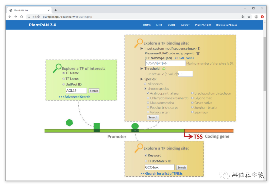 使用PlantPAN 3.0进行启动子和转录因子分析 - 知乎