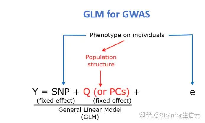 重测序分析（17）GWAS分析实操（3）gwas_tassel_glm - 知乎