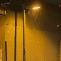 MCScanX安装 - 知乎