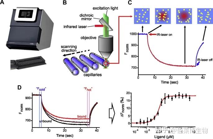 MST应用案例分享：验证蛋白与小分子化合物互作 - 知乎