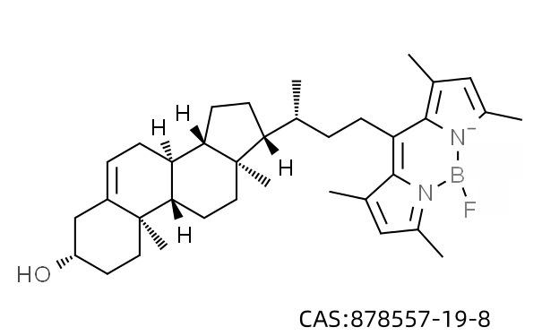BODIPY 480/508-Cholestero的发射波长为508nm - 知乎
