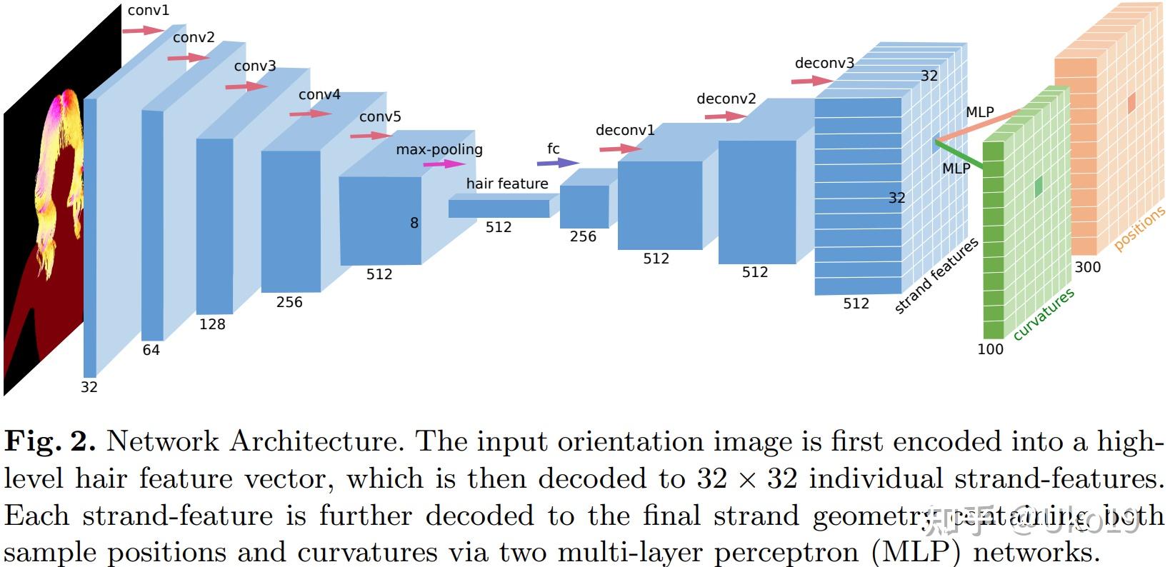 HairNet笔记 - 知乎