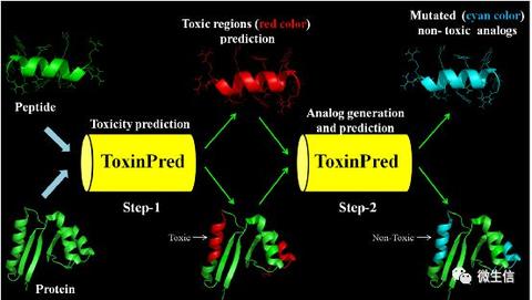 AviTag标签多肽 GLNDIFEAQKIEWHE - 知乎