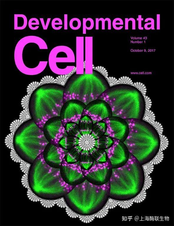Mlbio丨酶联生物elisa试剂盒产品sci文献精选 知乎